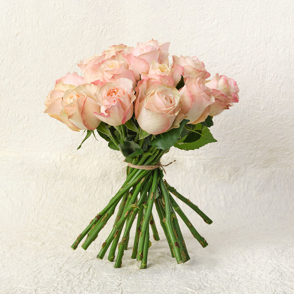 ROSES – Helianthus Brussels Shop